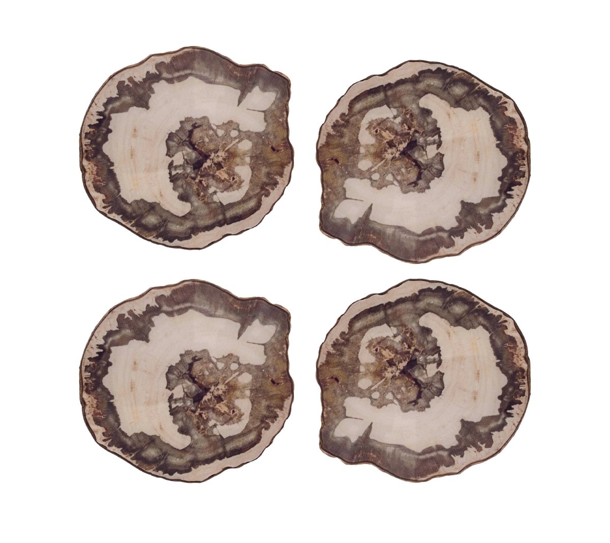 Petrified Wood Drink Coasters in Multi Set of 4 in a Gift Box by Kim S ...