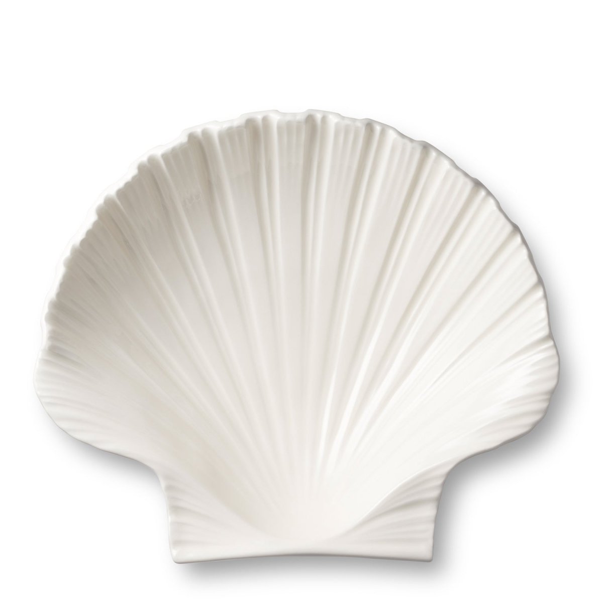 AERIN Shell Platter in Medium | Ceramic Seashell Serving Plate – FIG ...