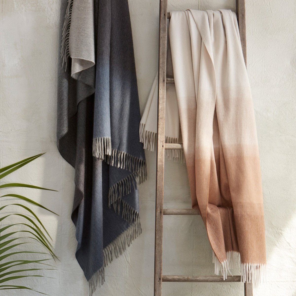 Matouk Cashmere Throw - August Ombre Blanket | Fig Linens and Home ...